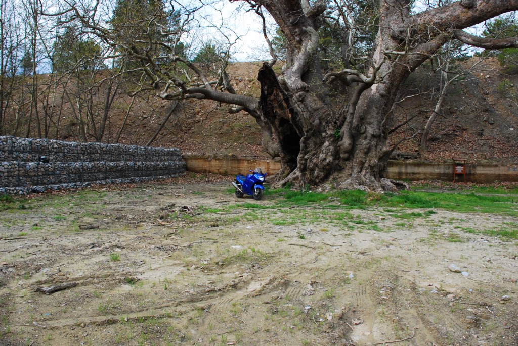 Μεγαλος Πλατανος.............. - Προορισμοί - Προτάσεις - myBike.gr